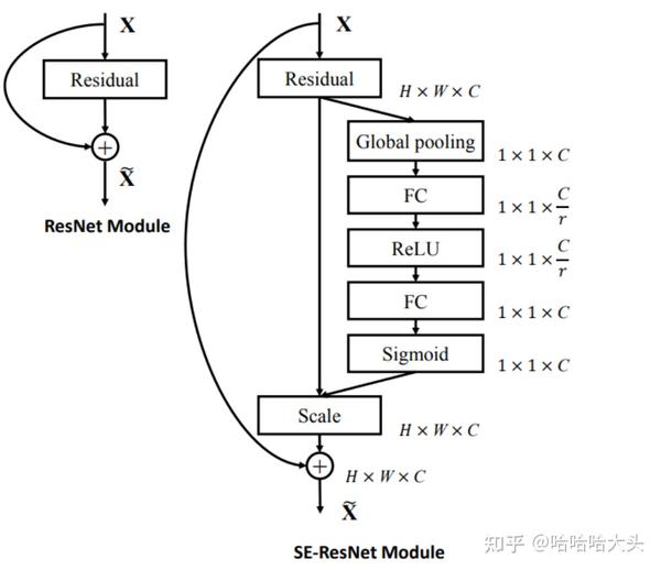 注意力SE模块 - 知乎