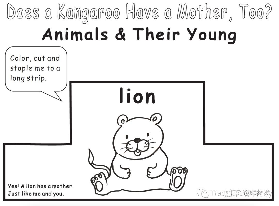 英文绘本推荐 亲子共读9：Does kangaroo have a mother, too？解读和拓展（母亲节快乐！） - 知乎