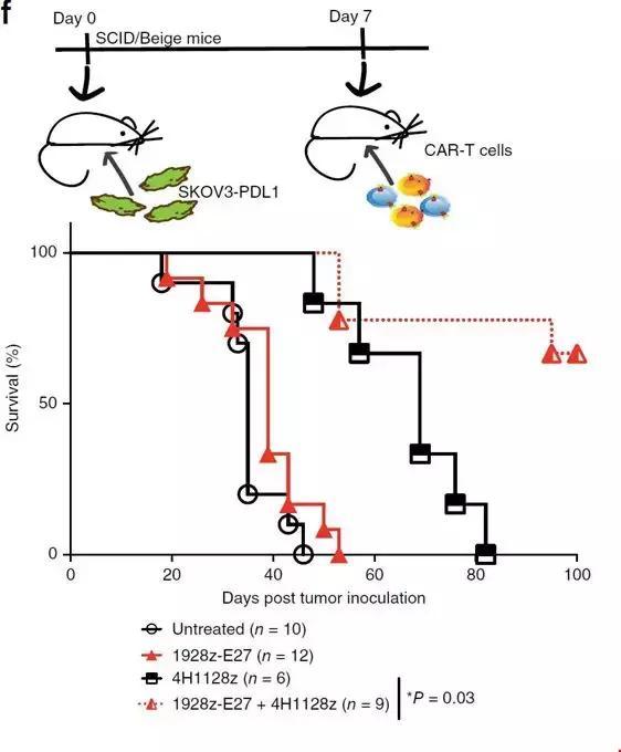 CAR-T靶向输送PD-1抗体可大大提高抗癌效果 - 知乎