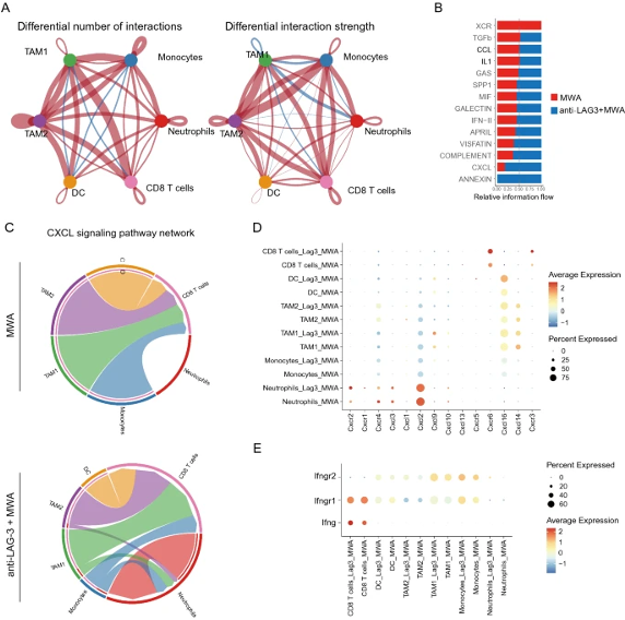 项目文章丨单细胞测序揭示LAG3阻断剂对微波消融抗癌协同作用的机制 - 知乎