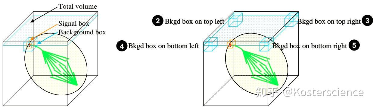 Imagej Manual Tracking（手动追踪）插件玩转指南 - 知乎