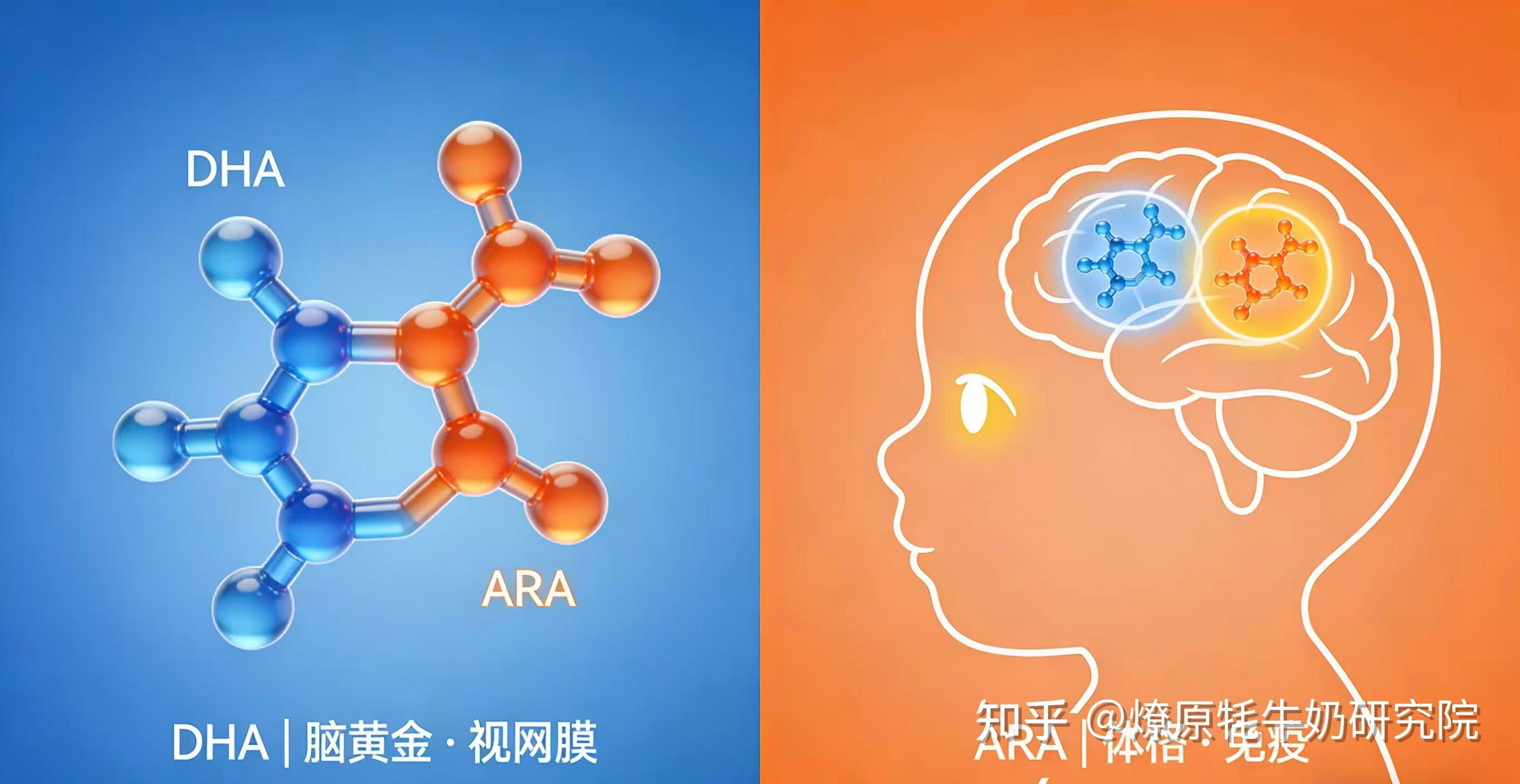 营养科学｜关于DHA与ARA，和每一位重视宝宝眼脑发育的家长聊聊营养科学 - 知乎