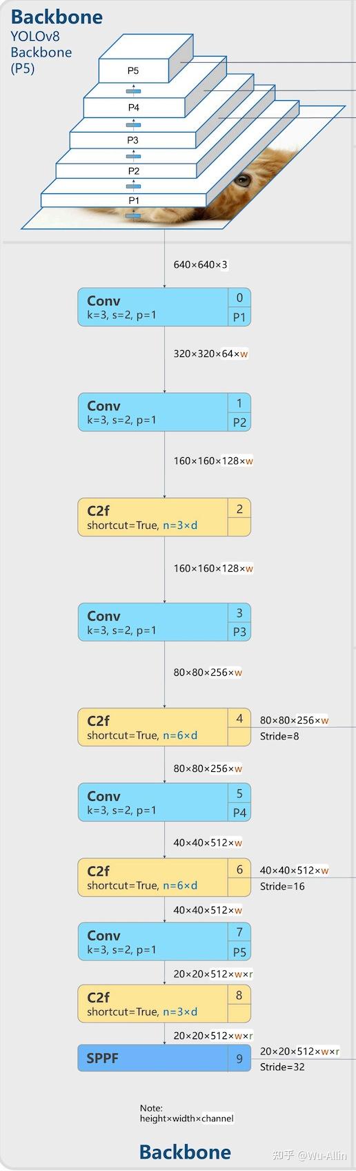 把玩yolo-v8，详解模型结构和代码 - 知乎