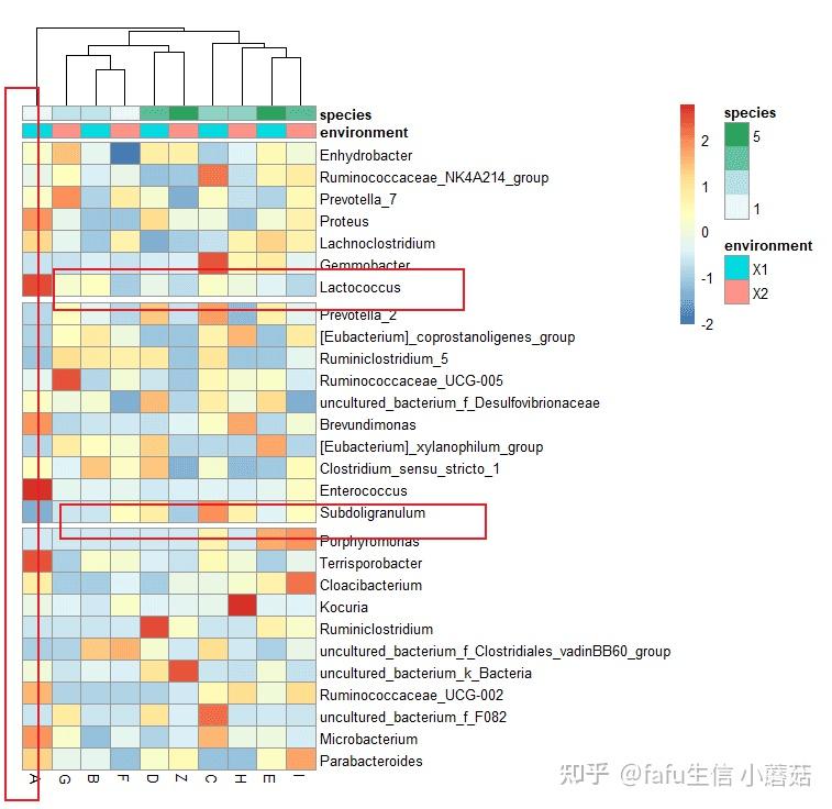 R语言pheatmap包绘制热图进阶教程 - 知乎