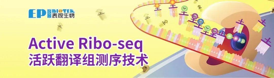 新品上市| Active Ribo-seq：活跃翻译组测序技术 - 知乎