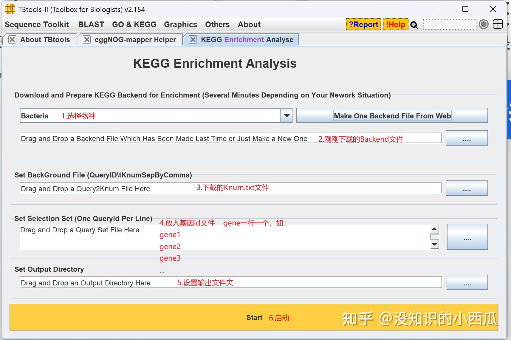 KEGG/GO富集分析，TBtools居然都能解决！还免费！（保姆级教程） - 知乎