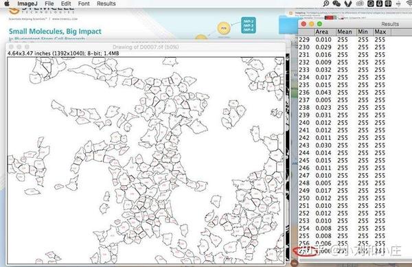 零基础SCI绘图（13）如何分析Transwell穿过小室的细胞数量 - 知乎