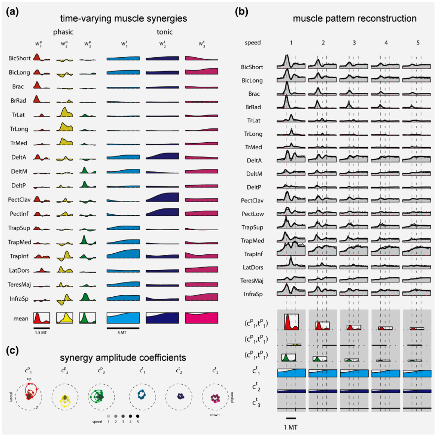 《表面肌电图: 生理学、工程学和应用》翻译：第六章 - 知乎