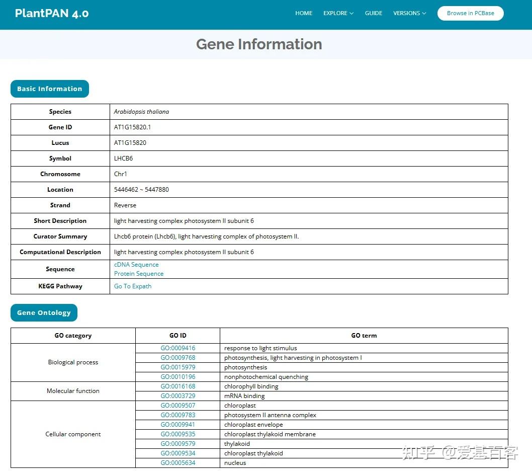 PlantPAN 4.0:探索植物转录因子和启动子的调控数据库 - 知乎