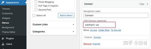 如何设置 WordPress 导航菜单的样式 - 知乎