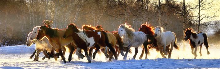 英语词语杂谈（86）awe 与 overawe - 知乎