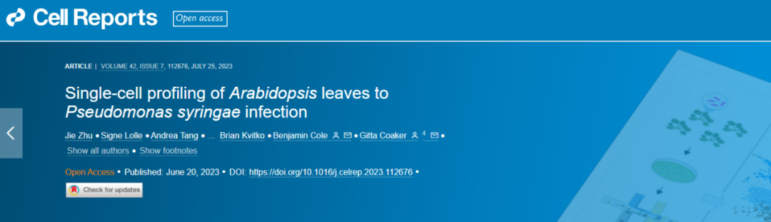 Cell Reports | 拟南芥叶片感染假单胞菌的单细胞图谱分析 - 知乎