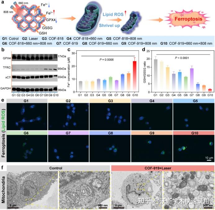 Nature子刊 | 武汉大学/香港科技大学：AIE COF用于诱导焦亡和铁死亡促进抗肿瘤免疫 - 知乎