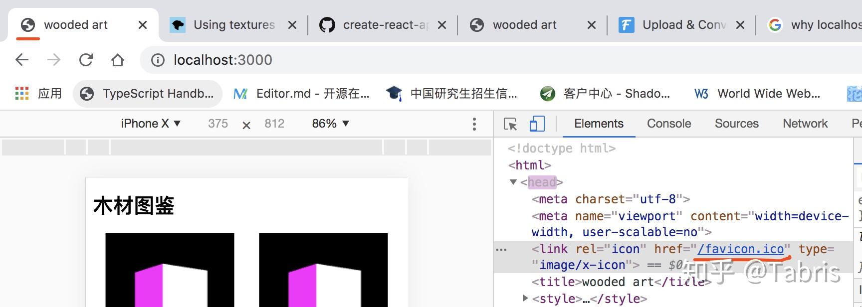 关于部分浏览器 localhost 域名下未正常显示 favicon 的问题 - 知乎