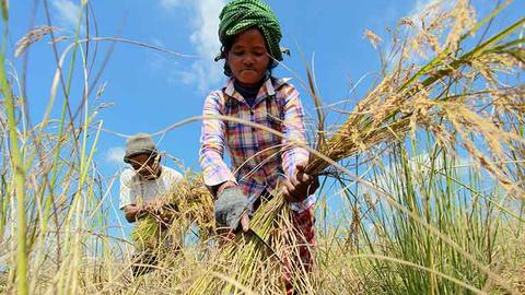 （完整版+附原文出处）2021年6月CATTI二级笔译实务真题和部分参考译文 - 知乎