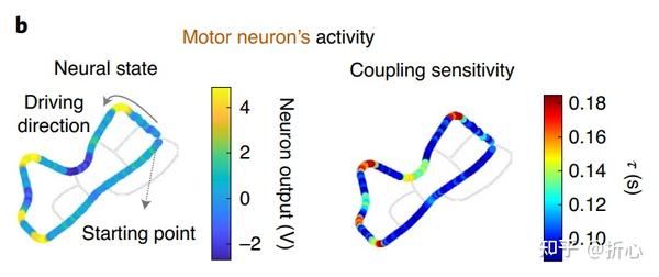 一些文章: Neural circuit policies enabling auditable autonomy - 知乎