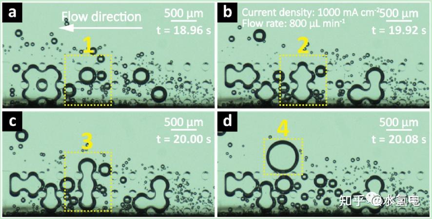 重大JPS：PEMWE阳极PTL气泡动态行为 - 知乎
