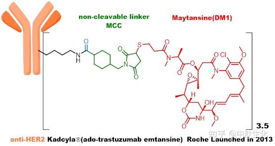 全球15款上市ADC药物技术透视及未来创新方向 - 知乎