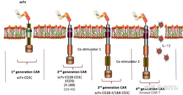 天价CAR-T疗法到底是什么？盘点已上市的CAR-T疗法 - 知乎