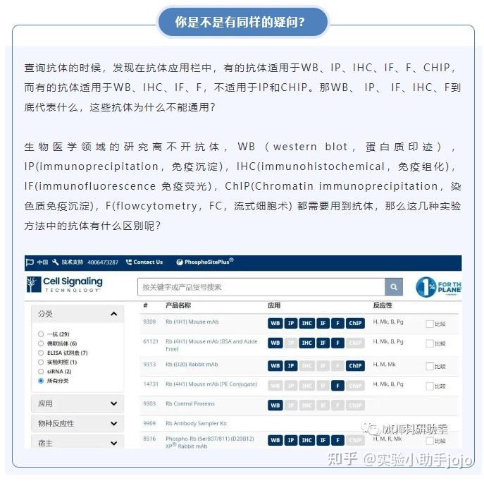 干货分享 | 知其然知其所以然，WB、IP、IHC、IF、ChIP、FC六种抗体的区别 - 知乎