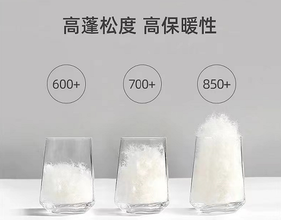 Ogonblick北欧时刻 | 你的羽绒服真的保暖吗？ - 知乎