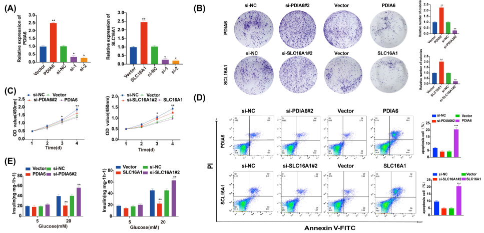 共病思路，先卷一篇再说！贵州省人民医院二区SCI：WGCNA+PPI+简单实验，快跟上！ - 知乎