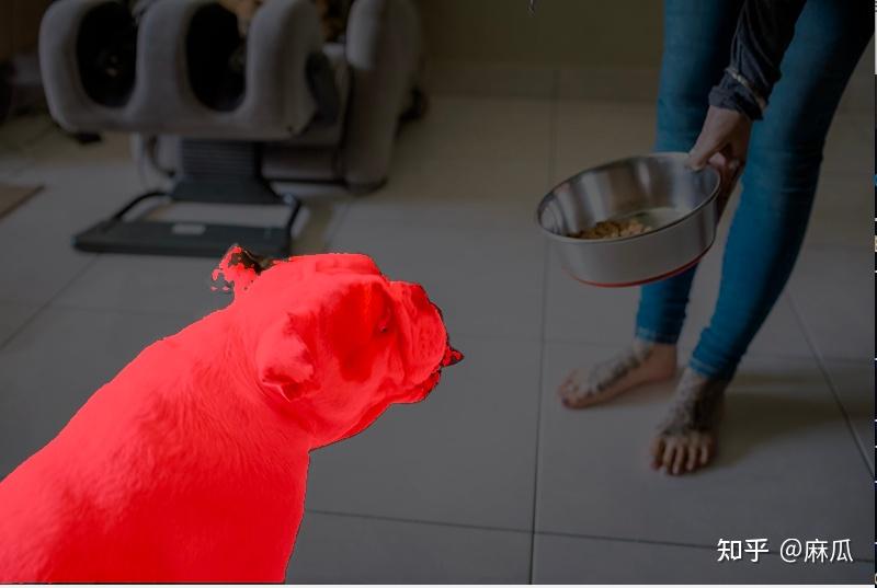 语言指导图像分割（Clip-SAM-ONNX） - 知乎