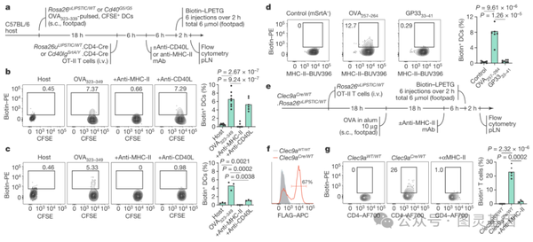 Nature | 洛克菲勒大学开发新方法，定量记录体内免疫细胞间的物理相互作用 - 知乎