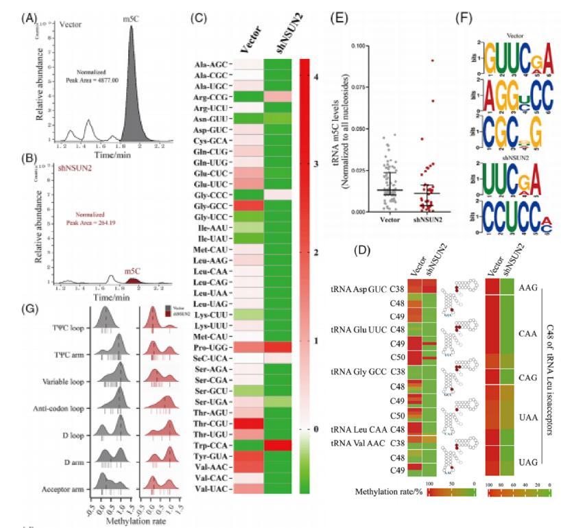 翻译组学测序研究利器|Ribo-seq&Polysome-seq - 知乎