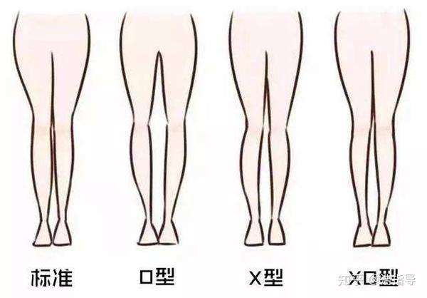 怎样瘦腿最快最有效 知乎