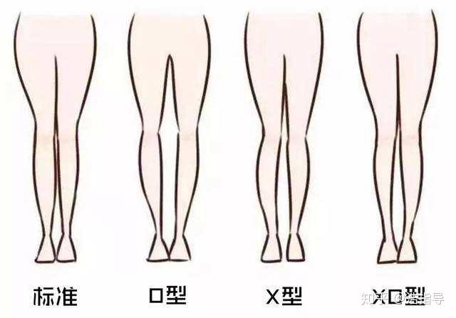 怎样瘦腿最快最有效 知乎