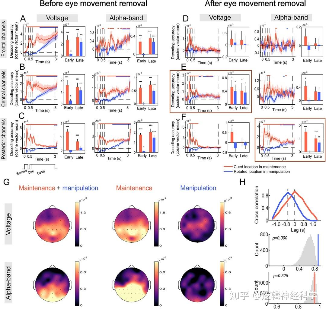 Cereb Cortex︱中国科学院脑智卓越中心俞青组揭示工作记忆存储与操作的神经机制 - 知乎