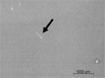 【ALP-TS-23003A】CMP Slurry均一性的一体化解决方案（上） - 知乎