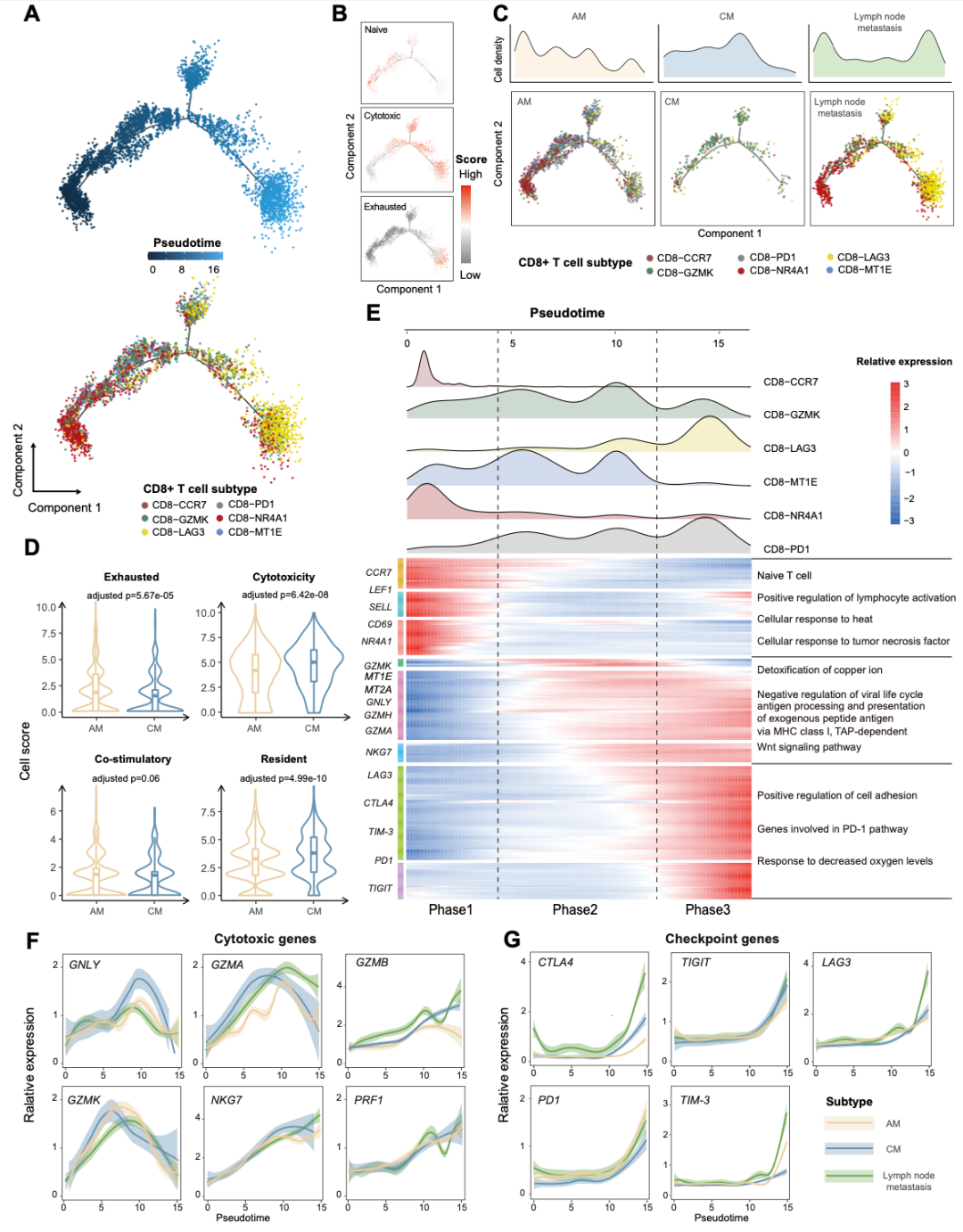 Nat Commun｜天津医科大学杨吉龙团队应用单细胞转录组分析揭示肢端型黑色素瘤肿瘤细胞异质性和免疫环境特征 - 知乎