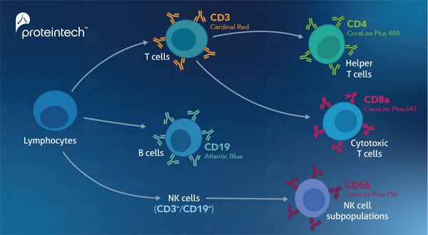 多色流式设计成难题？流式Panels解千愁！ - 知乎