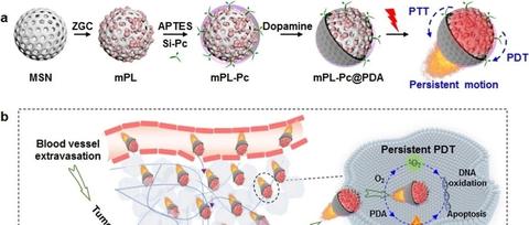 《CEJ》：双动力驱动Janus纳米马达用于癌症治疗 - 知乎