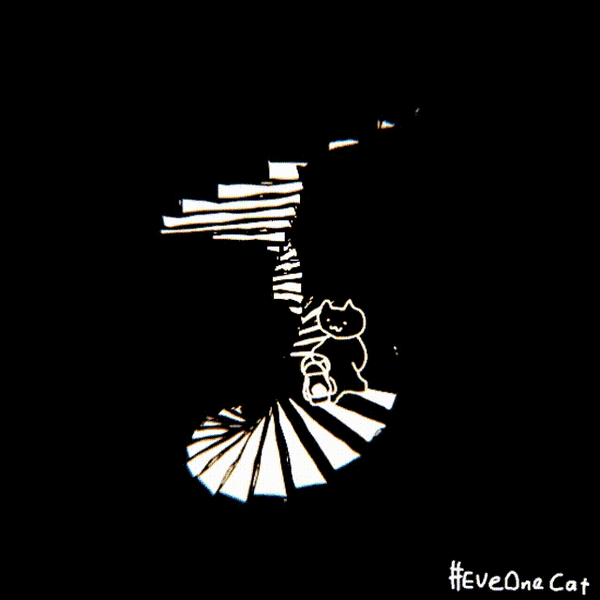 魔性猫猫everyday one cat 表情包 - 知乎