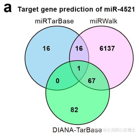 高分肿瘤miRNA研究案例详解（9）：miRNA调控靶基因 - 知乎