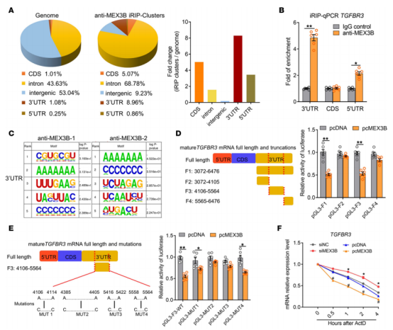 国自然热点 | RNA结合蛋白调控机制研究方法（三）_iRIP-seq - 知乎