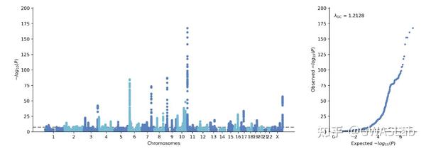 gwaslab v3.0（beta） : 处理GWAS sumstats的python包 - 知乎
