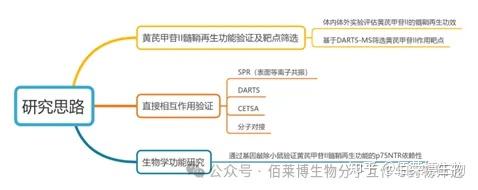 高分文章学方法！DARTS-MS+SPR/CETSA/ 分子对接，揭秘黄芪甲苷 Ⅱ 靶向 p75NTR 促髓鞘再生 - 知乎