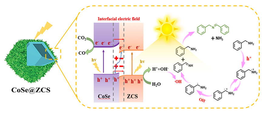 光催化丨吉林大学佘萍团队AFM: 中空结构Z型异质结的快速电荷转移用于耦合苄胺氧化与CO2还原 - 知乎