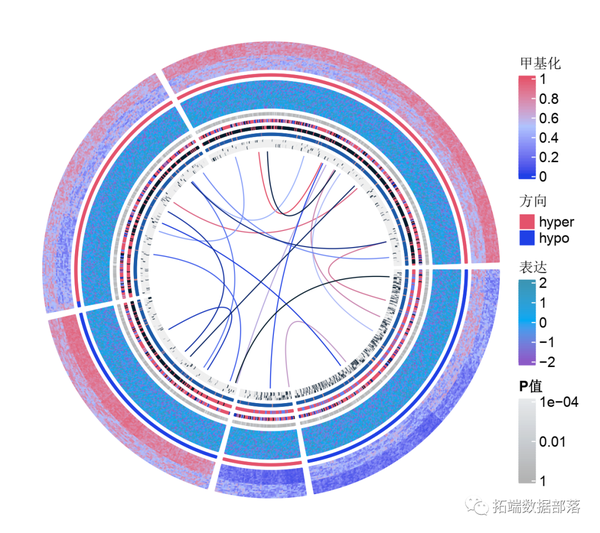 拓端tecdat|R语言绘制圈图、环形热图可视化基因组实战：展示基因数据比较 - 知乎