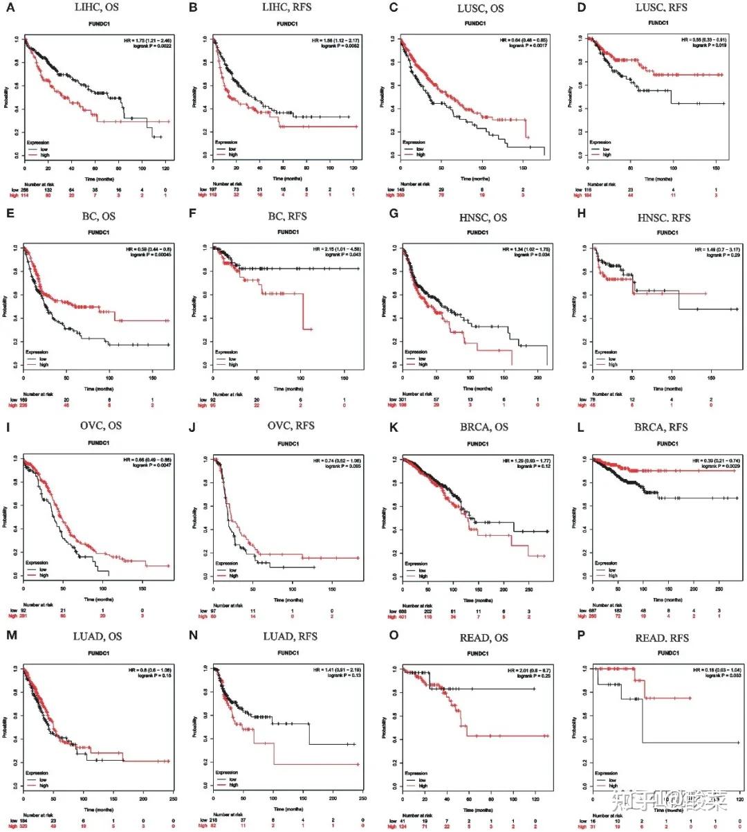 单基因泛癌免疫分析，手把手教你复现（附详细操作步骤） - 知乎