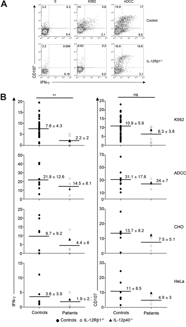 白介素对NK细胞功能的影响（IL-1β、IL-12、IL-15、IL-18、IL-21） - 知乎