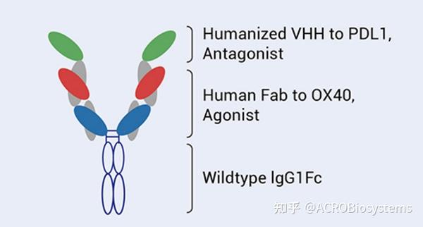 【AACR 2023】免疫检查点双抗潜力几何？ - 知乎