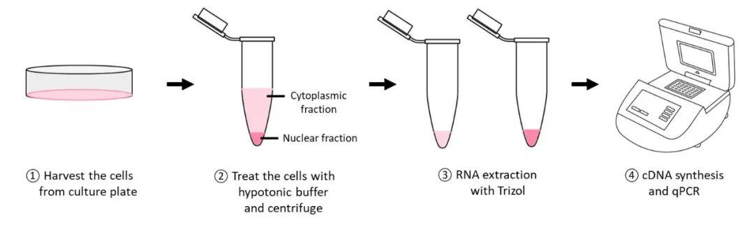 Bio-protocol | 2023年9月5日最新上线实验方案目录 - 知乎