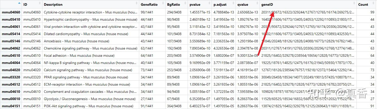 GO和KEGG富集结果geneID是数字怎么变成基因名称 - 知乎