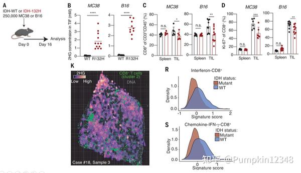 文献阅读：肿瘤代谢物D-2HG改变了CD8+T细胞的代谢途径，进而影响了其效应功能 - 知乎