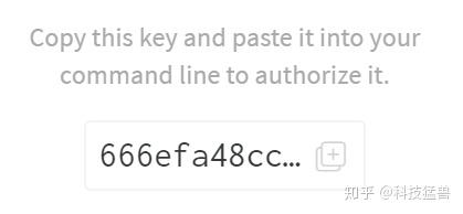 PyTorch 62.只需10分钟带你完美入门轻量级可视化工具wandb - 知乎